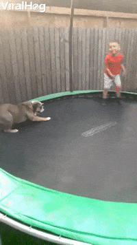 Trampoline Gif
