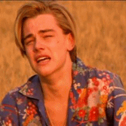 Reunite Romeo And Juliet GIFs - Find & Share on GIPHY