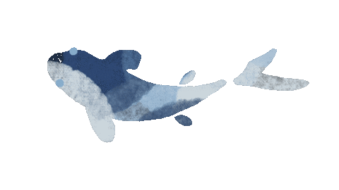 Ocean Animals Animated Gif