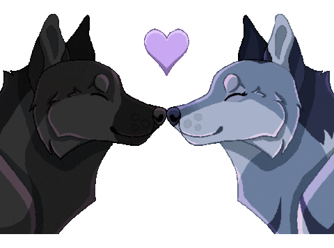 Two Wolves In Love Anime