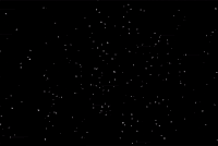 Fory GIFs - Get the best GIF on GIPHY