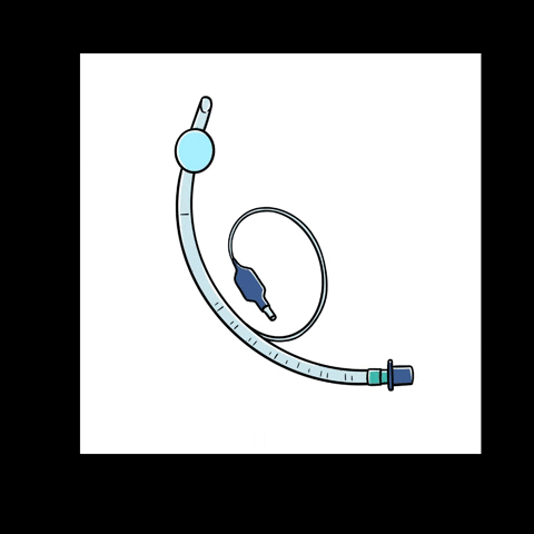 CRNA School Prep Academy GIFs on GIPHY - Be Animated