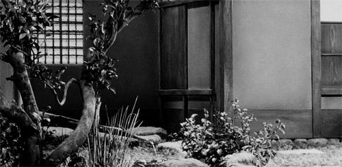 Akira Kurosawa GIF by Maudit - Find & Share on GIPHY