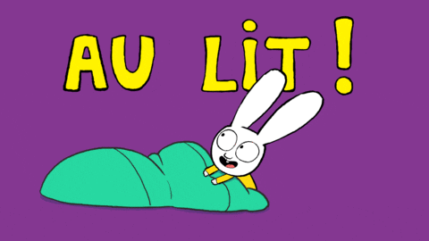 Sac De Couchage GIFs - Get the best GIF on GIPHY