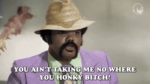 Honky GIFs - Get the best GIF on GIPHY