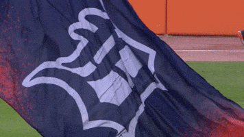Bally Sports Detroit GIFs on GIPHY - Be Animated