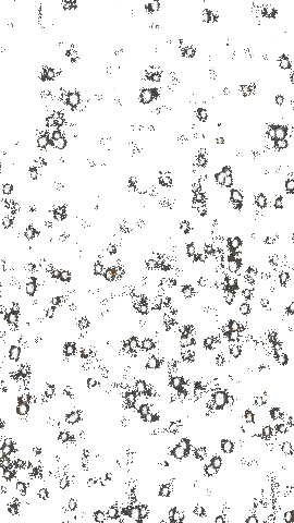 Falling Snow Gif Transparent