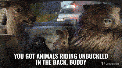 Unbuckled GIFs - Get the best GIF on GIPHY
