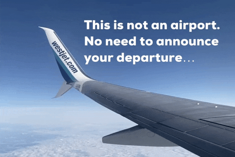 Her Adventures GIFs on GIPHY - Be Animated