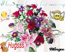 Speedy Recovery GIFs - Find & Share on GIPHY