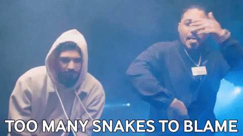 Too Many Snakes To Blame GIFs - Get the best GIF on GIPHY