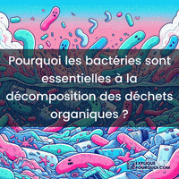 Decompose Gifs Find Share On Giphy Find & Share On GIPHY