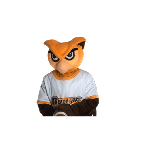 Ncaa Mascot Sticker by Rowan University for iOS & Android | GIPHY