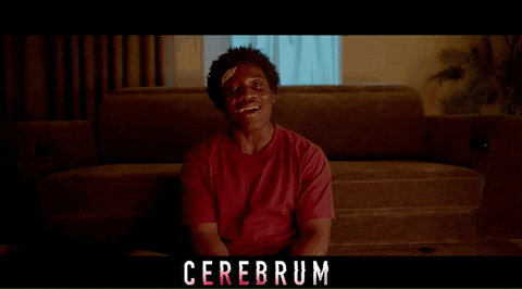 Signature Entertainment GIFs on GIPHY - Be Animated