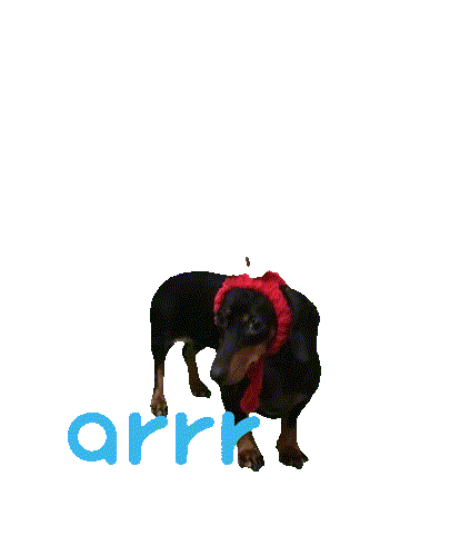 아르르 Sticker by arrr_official for iOS & Android | GIPHY