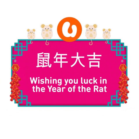 Prosperity Rat GIFs - Get the best GIF on GIPHY