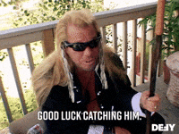 Good-luck-dog GIFs - Get the best GIF on GIPHY