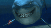 Finding Nemo Bruce Gif