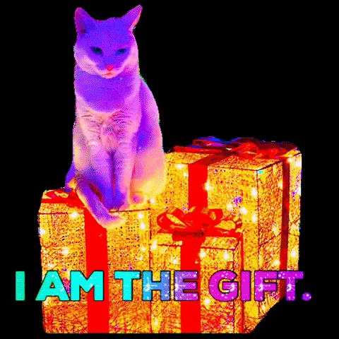 Princess Cat GIFs - Get the best GIF on GIPHY