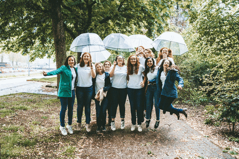 Umbrella Lille GIF - Find & Share on GIPHY