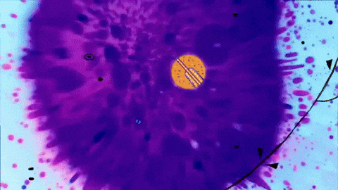 Wtm GIFs - Get the best GIF on GIPHY