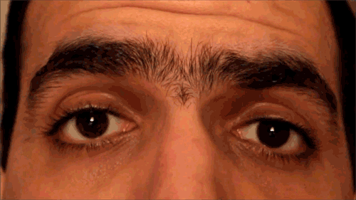 Bushy Brows GIFs - Get the best GIF on GIPHY