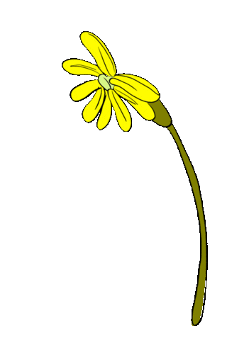 Flowers Wind Sticker by Jamie Wolfe for iOS & Android | GIPHY