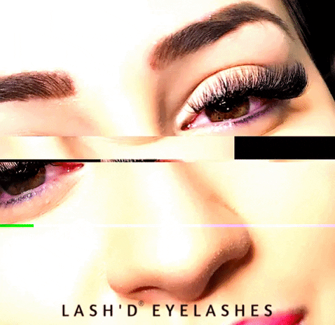 Lash Eyelashes GIFs - Get the best GIF on GIPHY