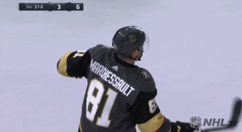 NHL GIF - Find & Share on GIPHY