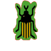 Jump Bug Sticker for iOS & Android | GIPHY