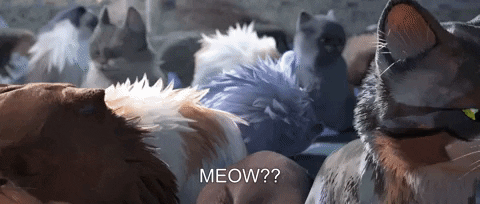 Asmr Dog GIFs - Get the best GIF on GIPHY