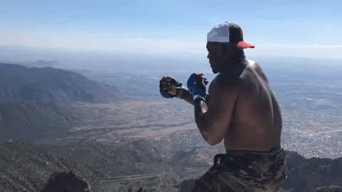 Fighter Albuquerque GIF by Jackson Wink MMA Academy - Find & Share on GIPHY
