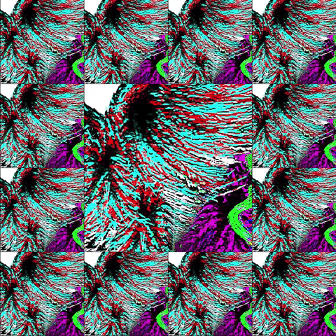 Reedit GIFs - Get the best GIF on GIPHY