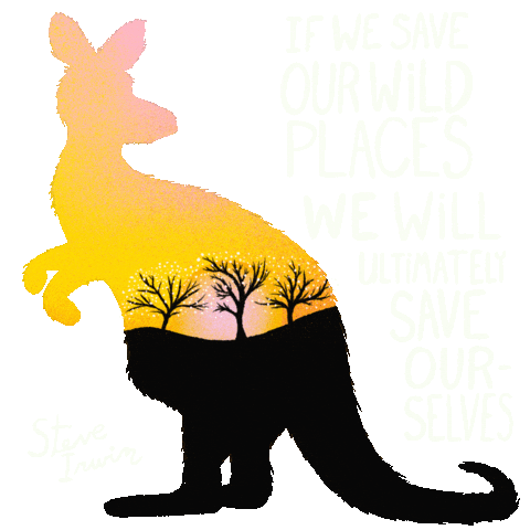 Save The Earth Wildlife Sticker by INTO ACTION for iOS & Android | GIPHY