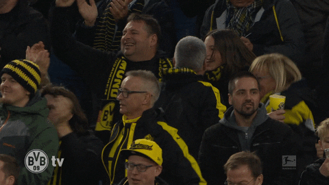 Borussia Dortmund Fans Gif