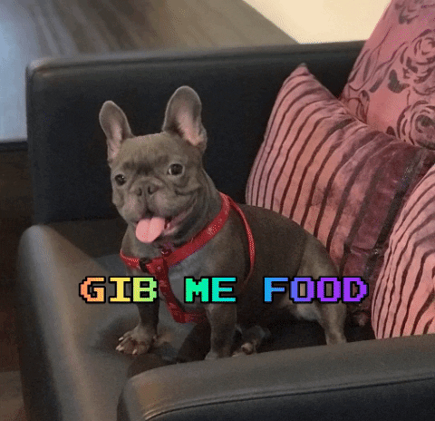 Gib GIFs - Get the best GIF on GIPHY