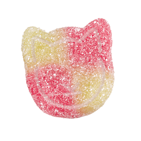 Candy Kittens Sticker for iOS & Android | GIPHY