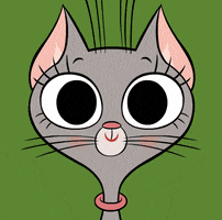 Good Job Cat GIFs - Find & Share on GIPHY