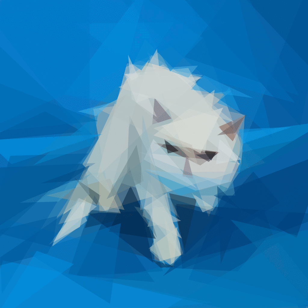 Hyper Cat Animated Gif