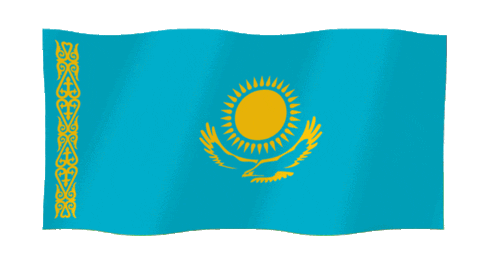 Flag Kazakhstan Sticker by SHEDEVR for iOS & Android | GIPHY