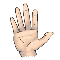 Hand Gestures by Stickerpacks.design | GIPHY