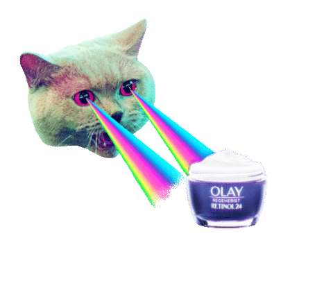 Cat Love Sticker by Olay for iOS & Android | GIPHY