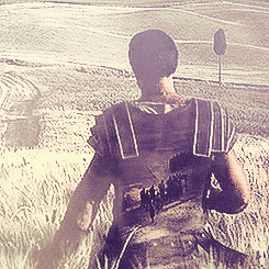 Maximus Meridius Decimus GIFs - Get the best GIF on GIPHY