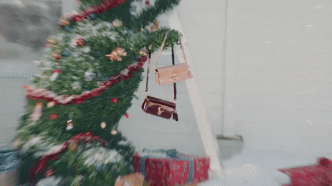 Happy Holidays Holiday Season GIF by Coach - Find & Share on GIPHY