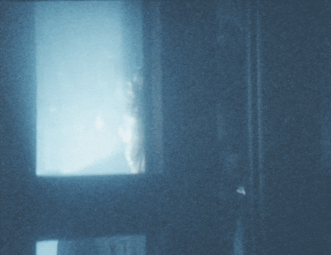 The Famous Sevco Thread; Martin bagged. Next. - Page 2797 - Kerrydale ...