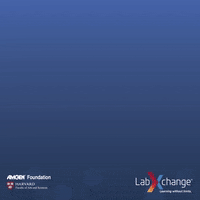 Action Potential Gif