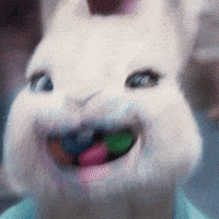 Rabbit Gif