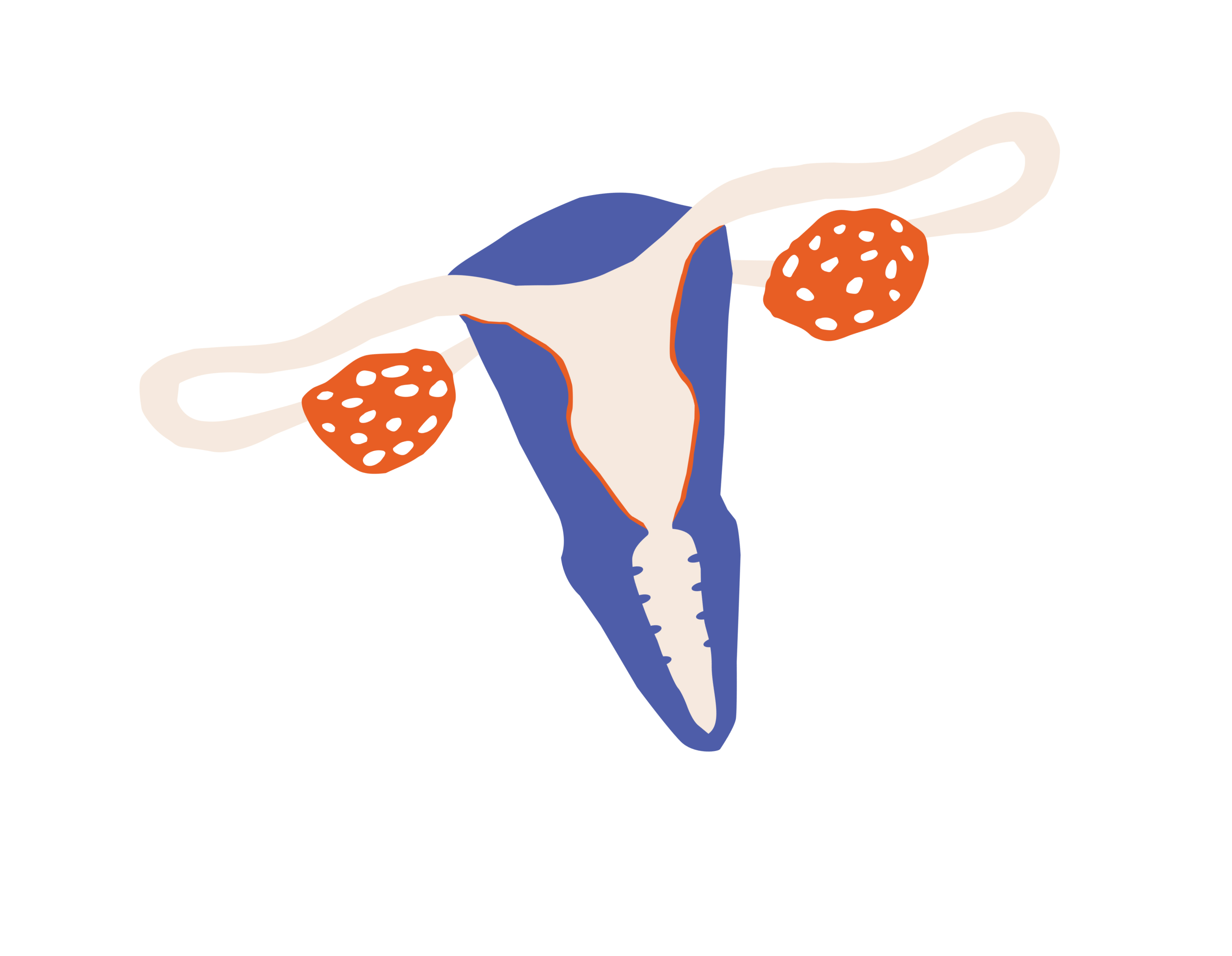 Sticker by modernfertility for iOS & Android | GIPHY