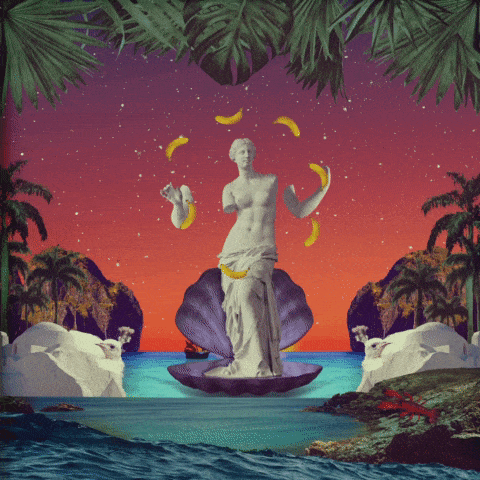 carolina nino buro GIFs on GIPHY - Be Animated