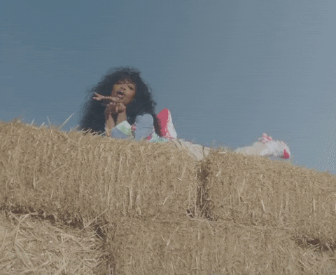 Hay Bale GIFs - Get the best GIF on GIPHY